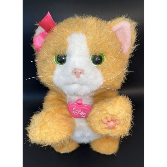Hasbro | Toys | 22 Hasbro Furreal Friends 11 Daisy Plays With Me Kitty ...